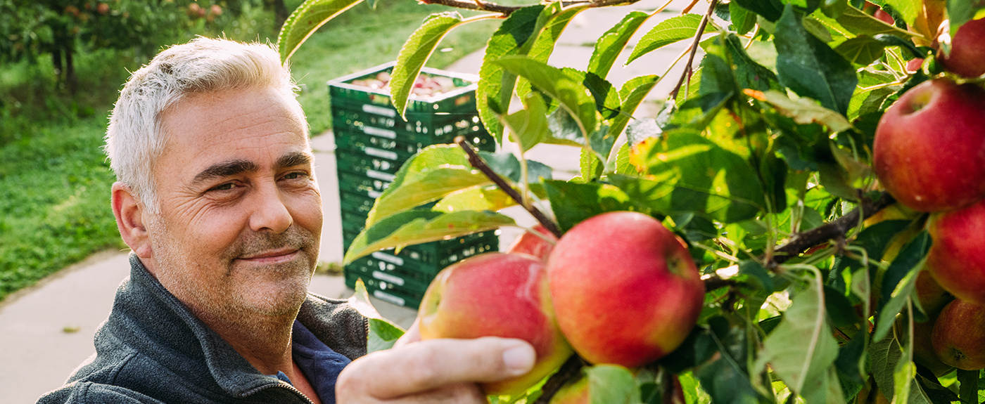 Euro Pool Group shares sustainability report