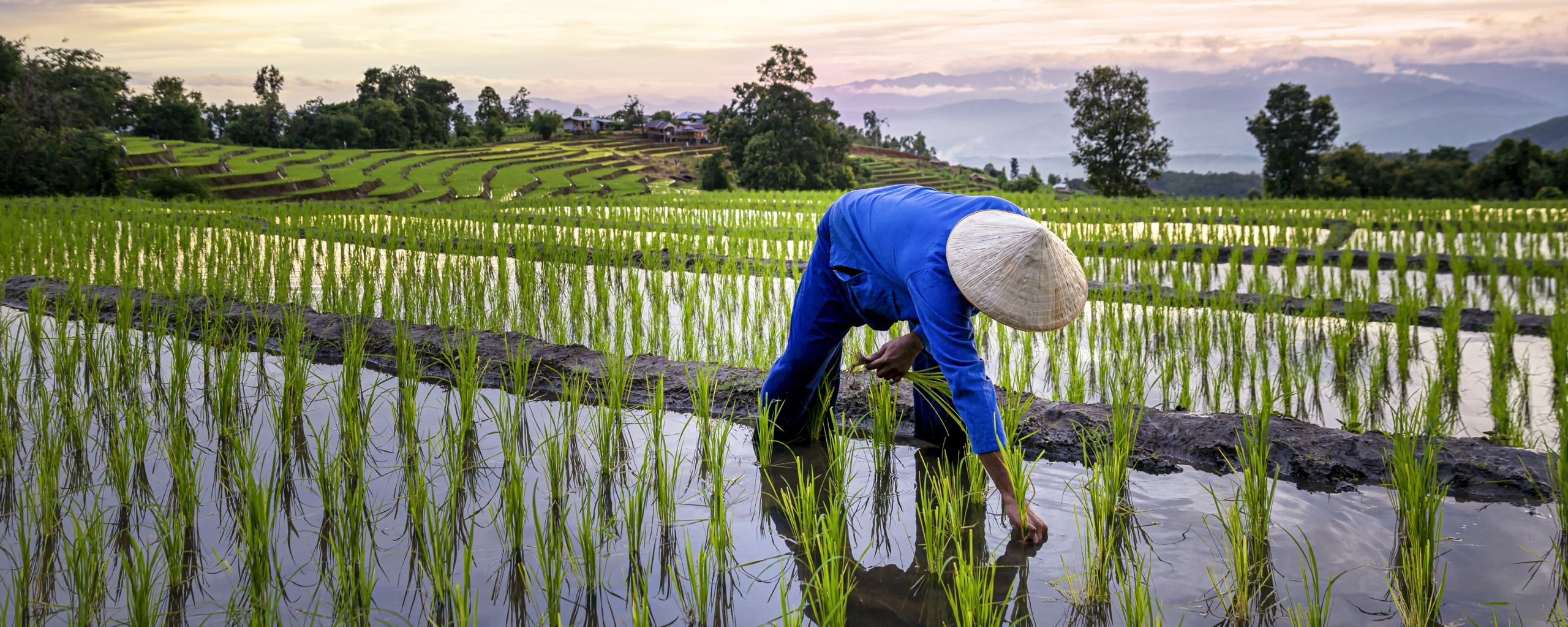 Charting the progress of CSR efforts by FNLI members