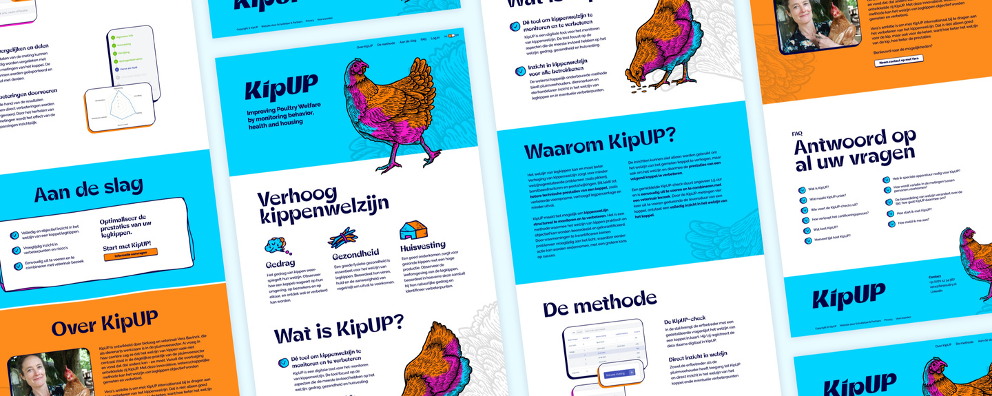 Improving chicken welfare with the innovative new method KipUP