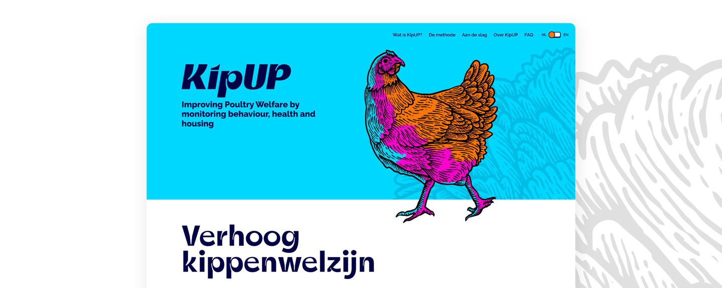 Improving chicken welfare with the innovative new method KipUP