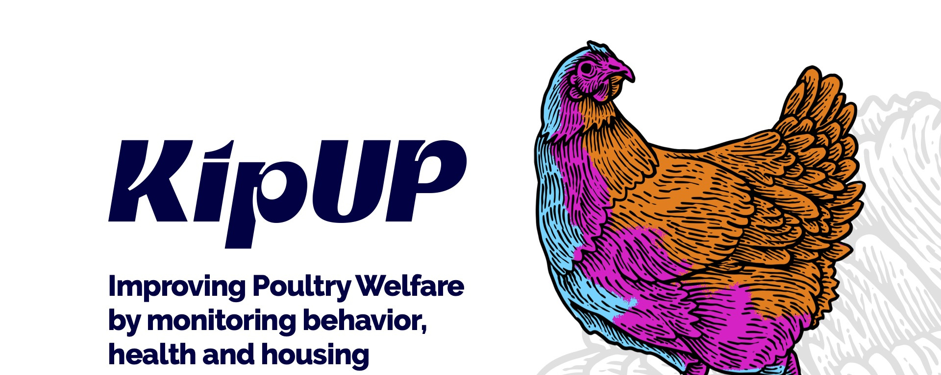Improving chicken welfare with the innovative new method KipUP