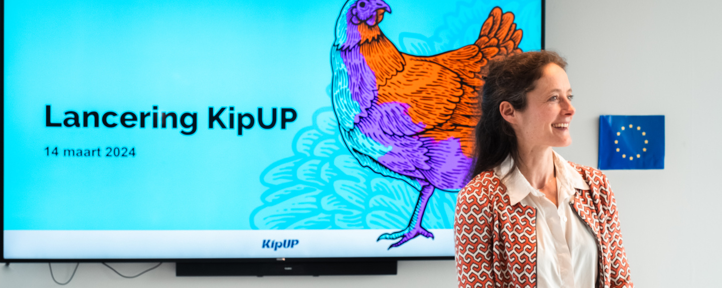 Improving chicken welfare with the innovative new method KipUP