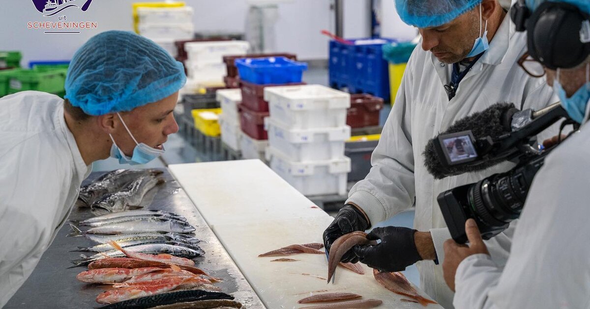 Documentary: Local fish with youth from Scheveningen